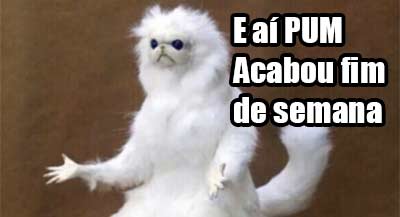 Acabou fim - Status e Imagens